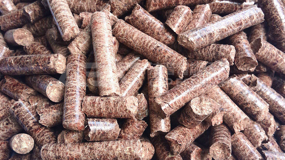 Biomass Pellet Fuel Manufacturing Plant - GEP ECOTECH