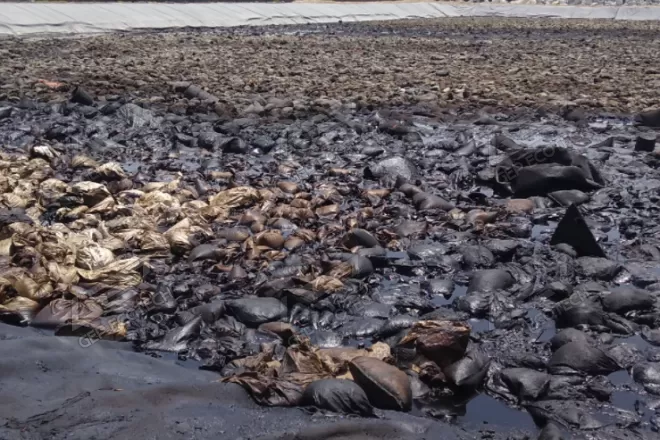 Industrial oil sludge crushing and disposal plan - GEP ECOTECH