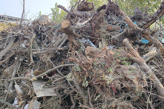 Pre-Shredding System for Biomass Power Plant, Biofuel Shredding Plant ...